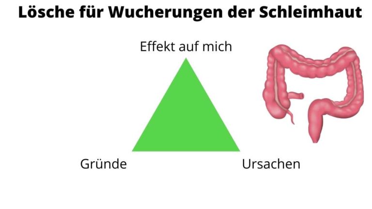 Darmpolypen aus Sicht der energetischen Medizin - Quantum-Wave